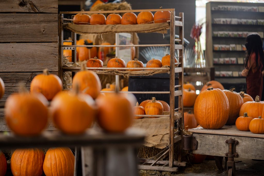 Your ultimate fall guide to Evergreen Brick Works - Evergreen